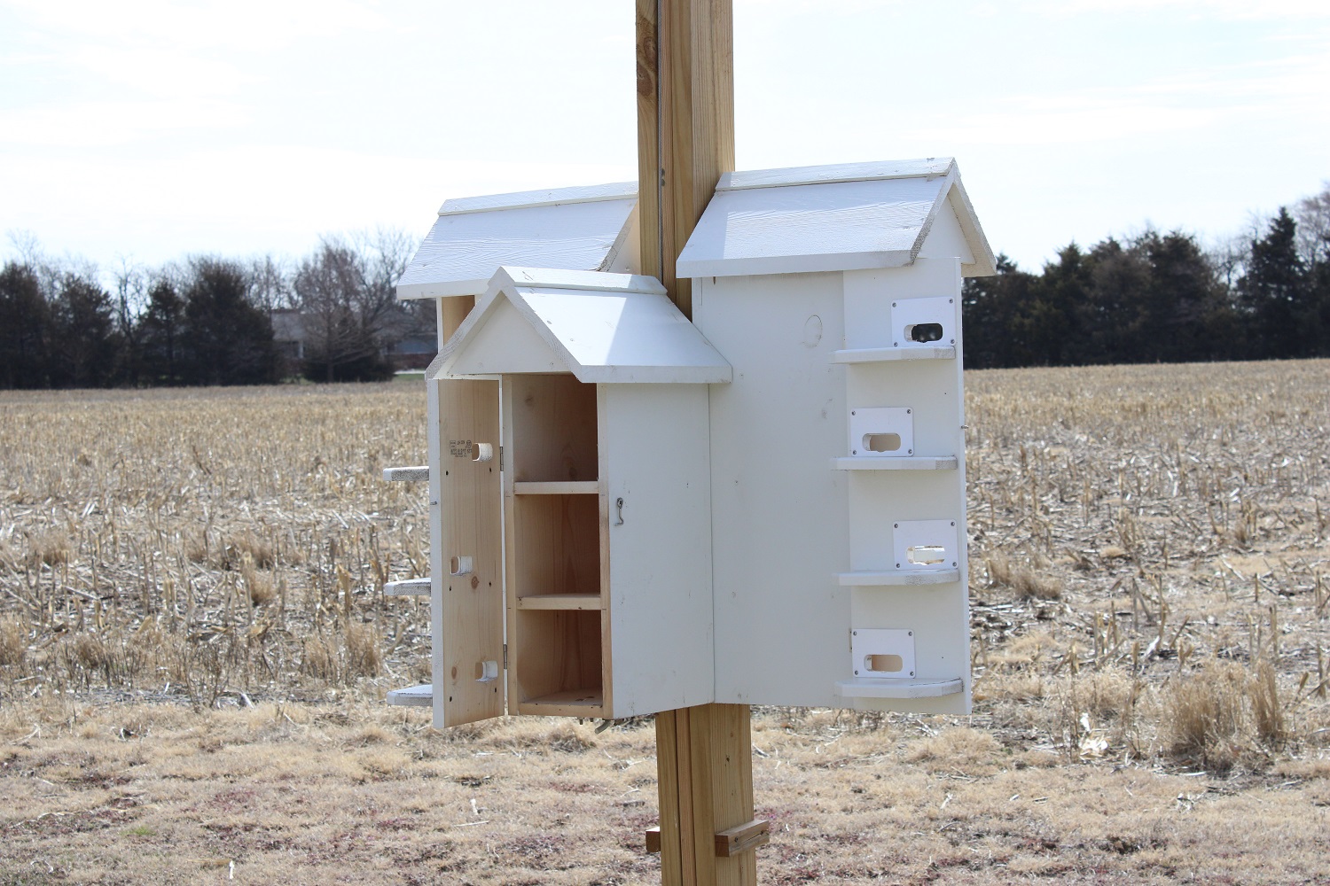 Amish-Built Purple Martin House and Winch Pole - Projective Fabrication