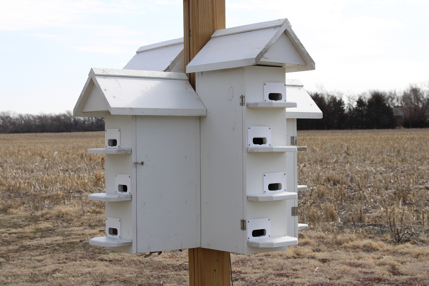 Amish-Built Purple Martin House and Winch Pole - Projective Fabrication