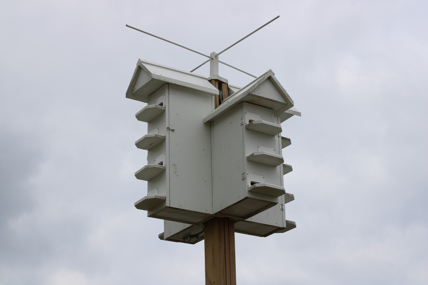 Amish-Built Purple Martin House and Winch Pole - Projective Fabrication