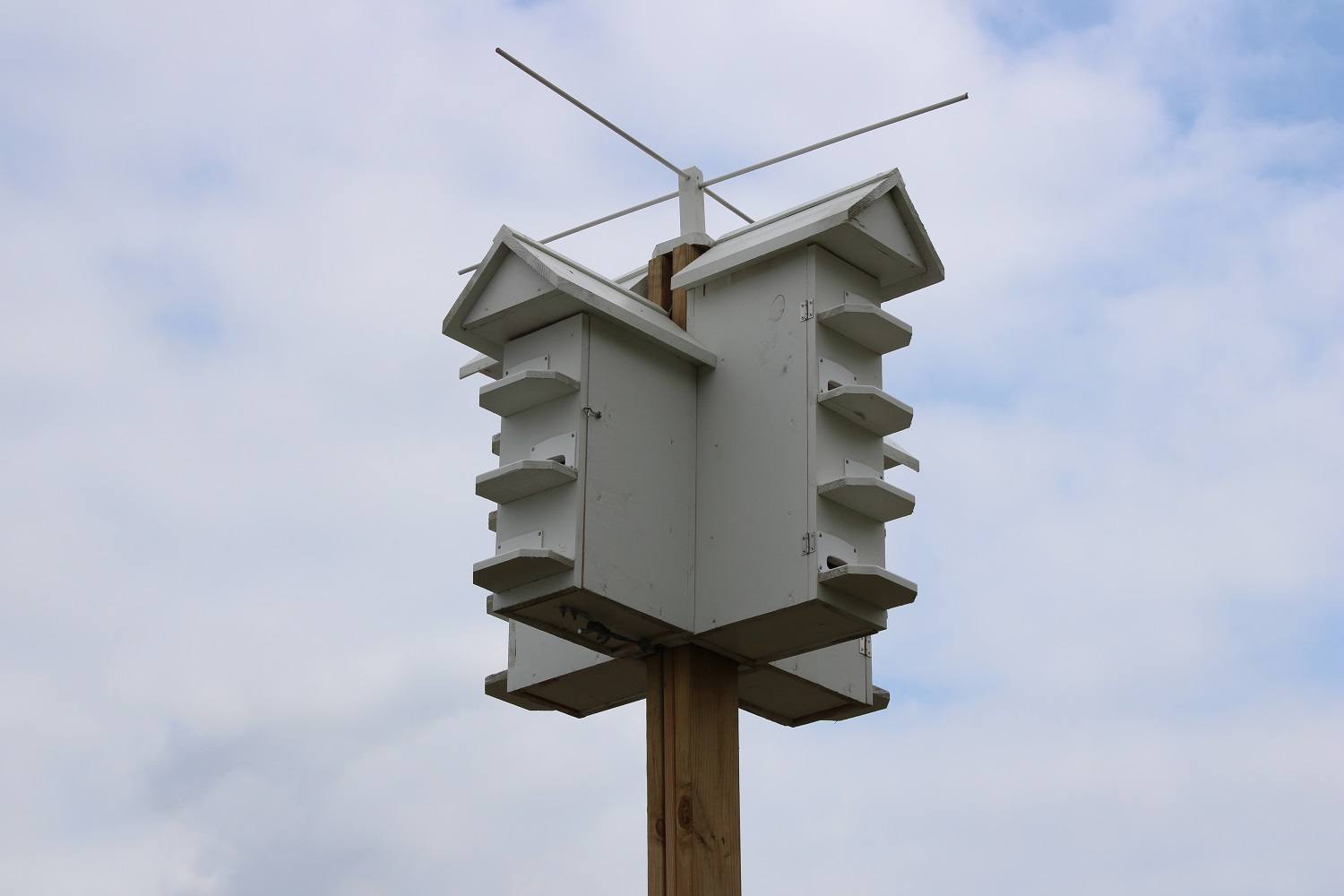 Amish-Built Purple Martin House and Winch Pole - Projective Fabrication