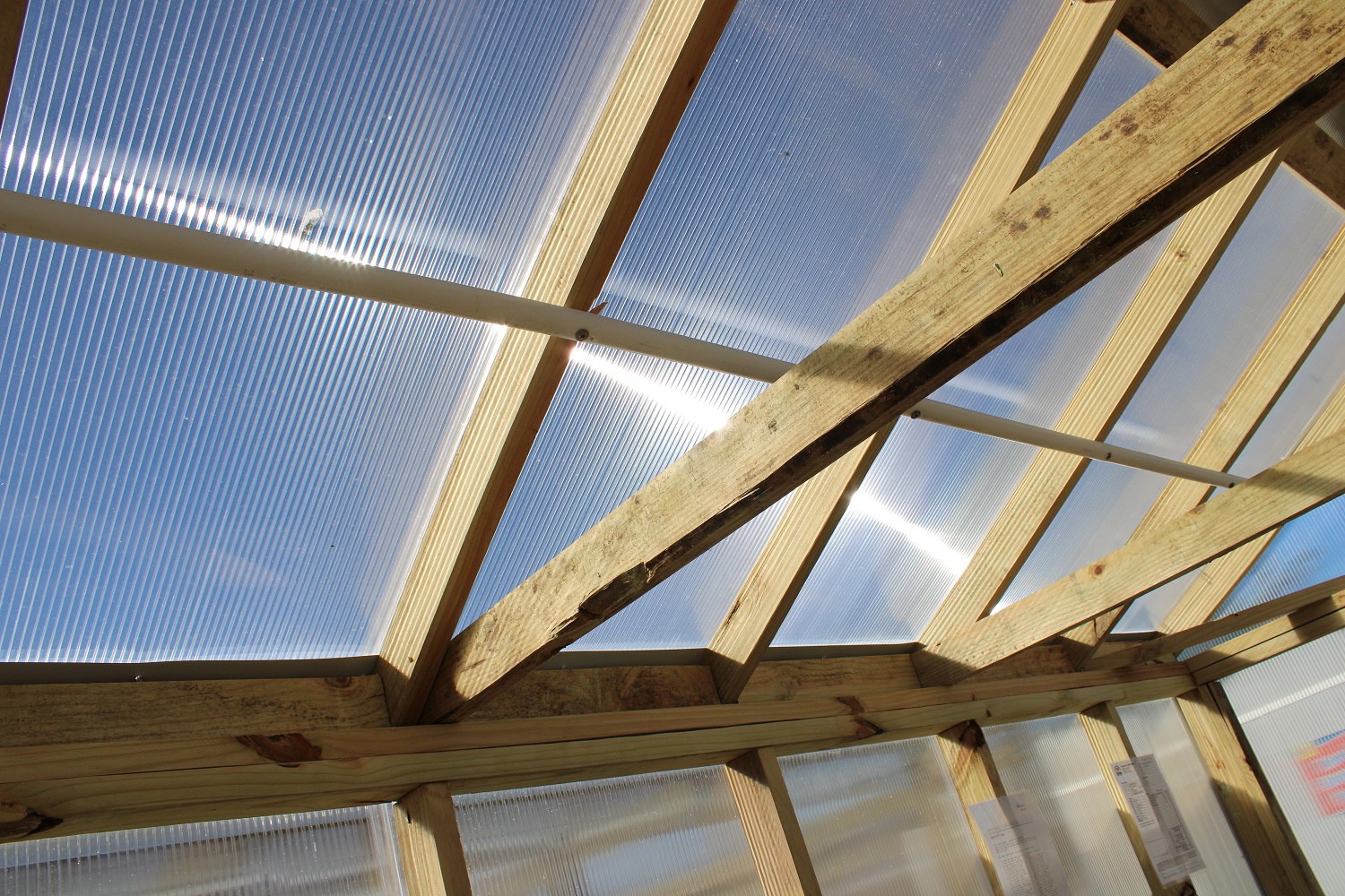 8'x12' Greenhouse with Non-Electric Cylinder Vent, Shelves and PVC Pot ...