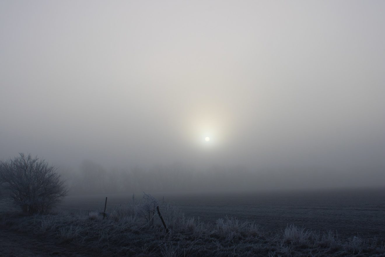 Sunrise 1-3-24 - Projective Fabrication