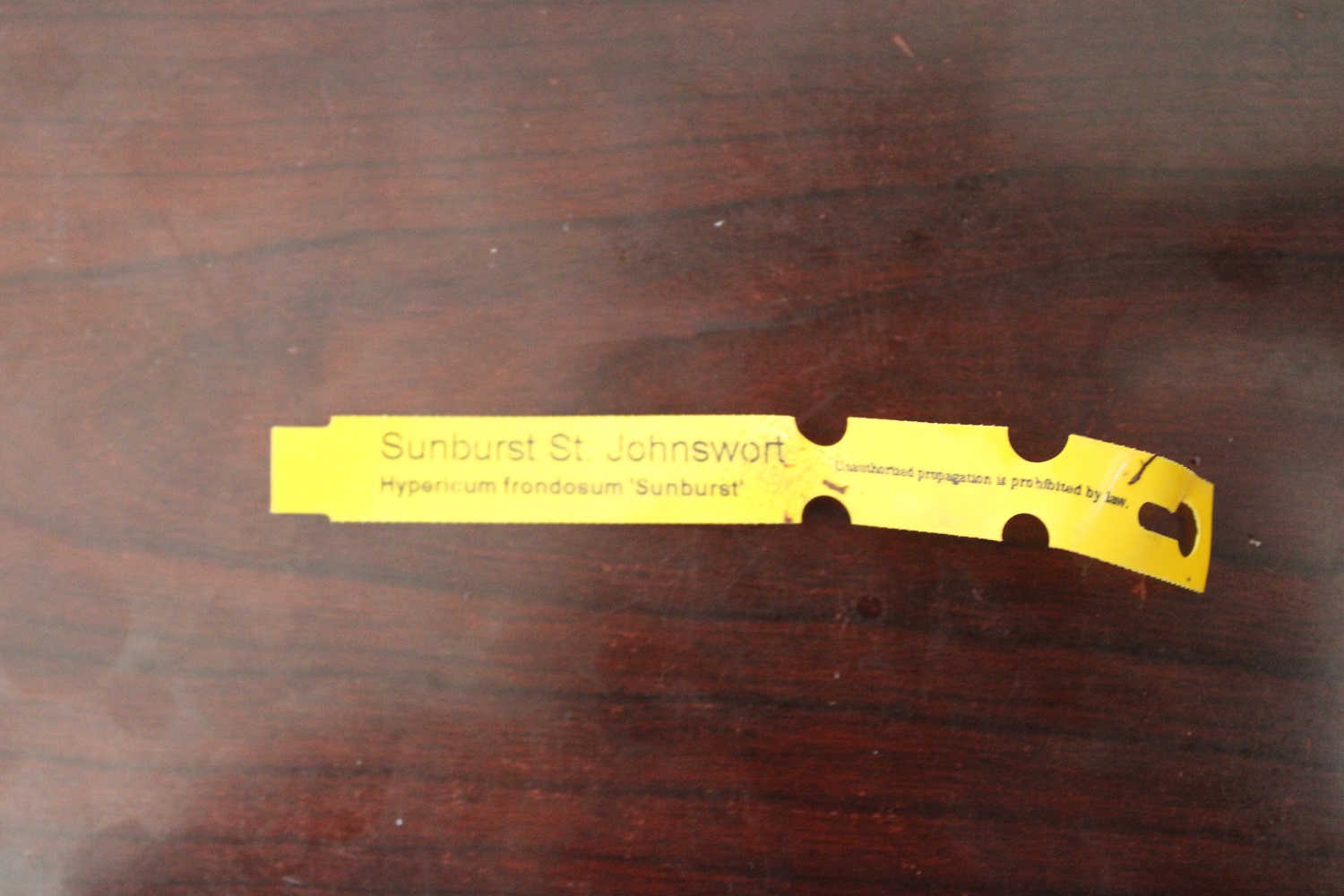 Flower Pot Story 6-28-24 - Projective Fabrication