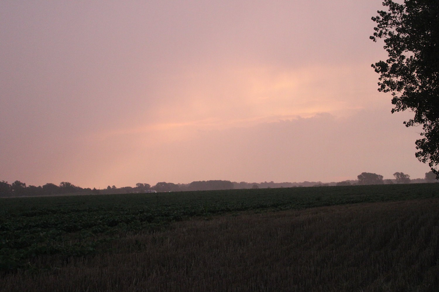 Rainy Sunrise 8-23-24 - Projective Fabrication