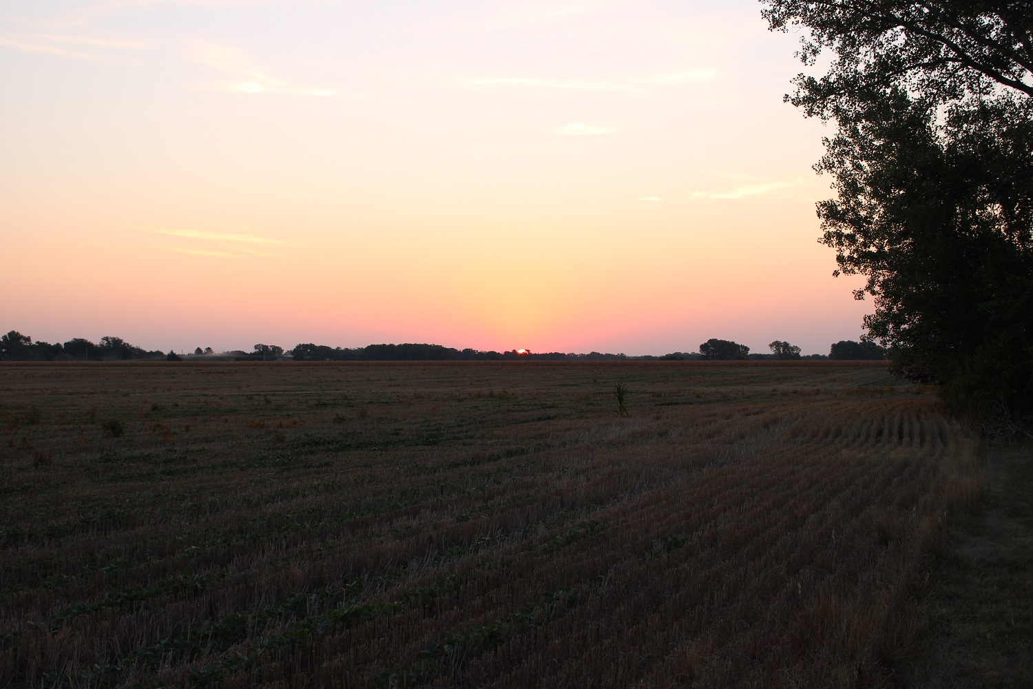 Sunrise 8-6-24 - Projective Fabrication