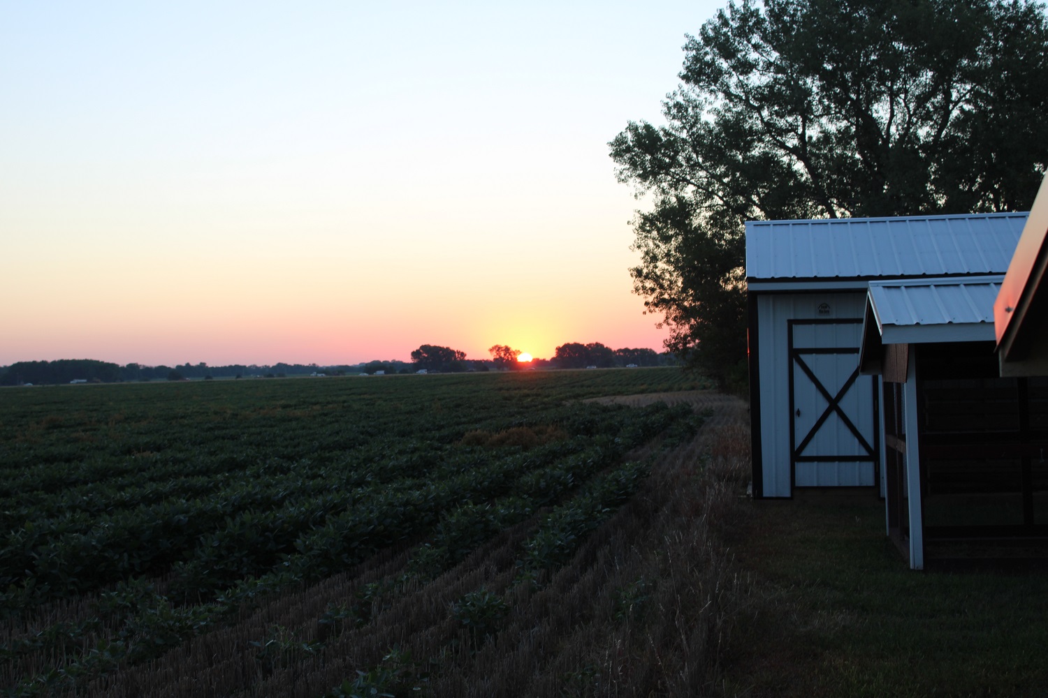 Sunrise 9-5-24 - Projective Fabrication
