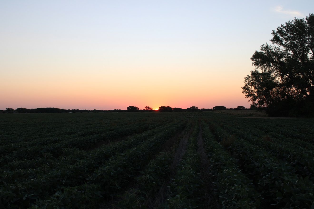Sunrise 9-9-24 - Projective Fabrication