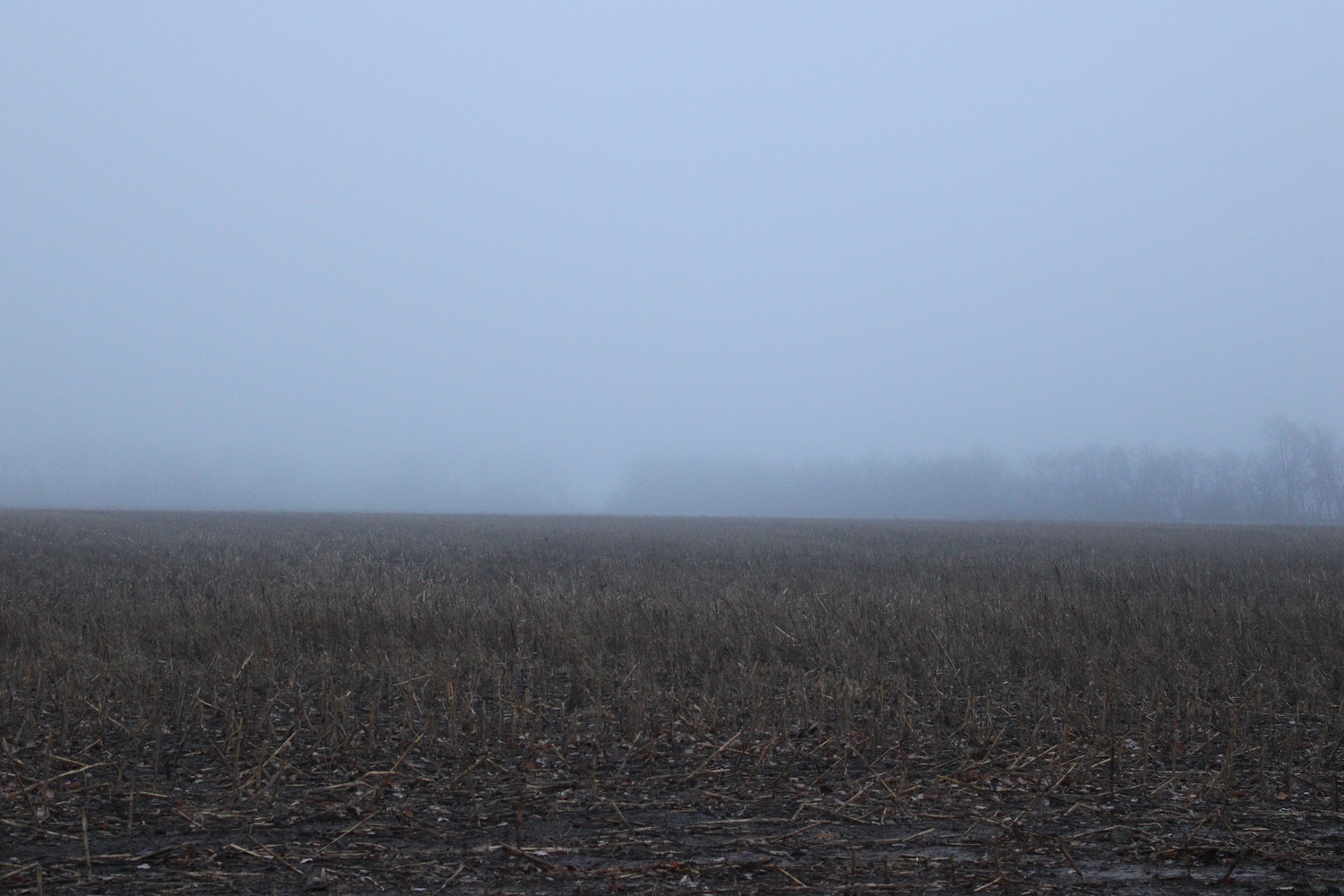 Foggy Skies 12 26 24 Projective Fabrication