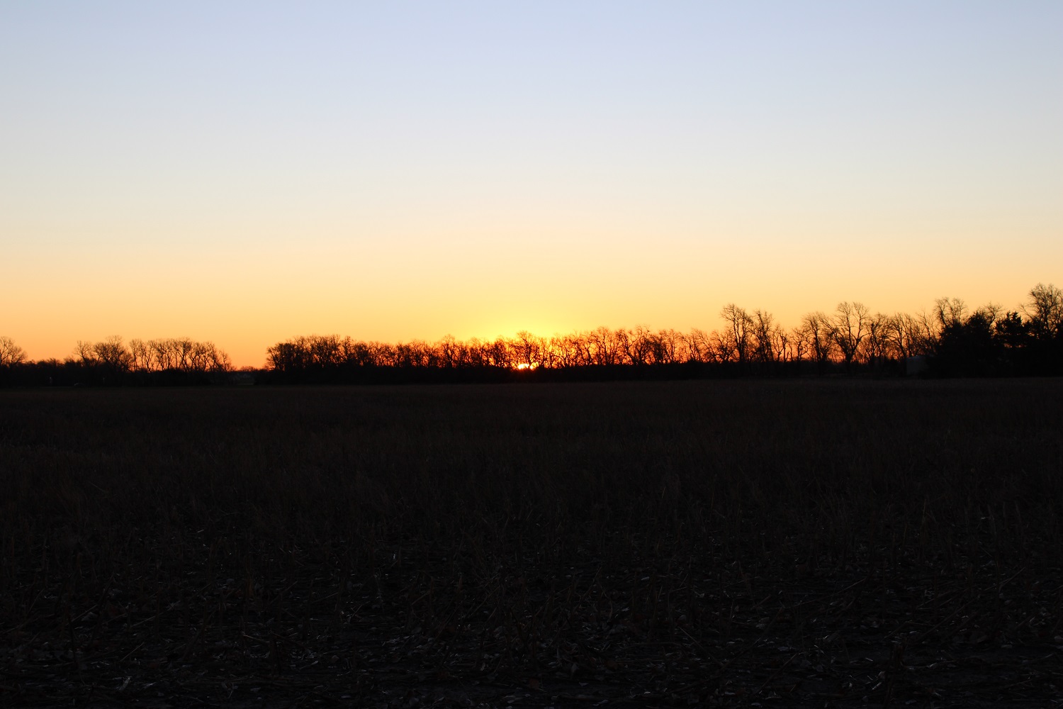Sunrise 12-5-24 - Projective Fabrication