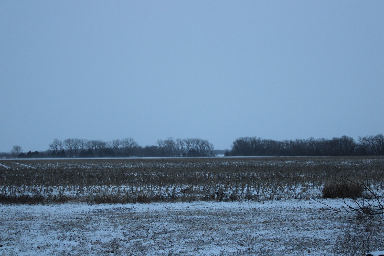 Snow, Wind, 0* Temps. 2-18-25 - Projective Fabrication