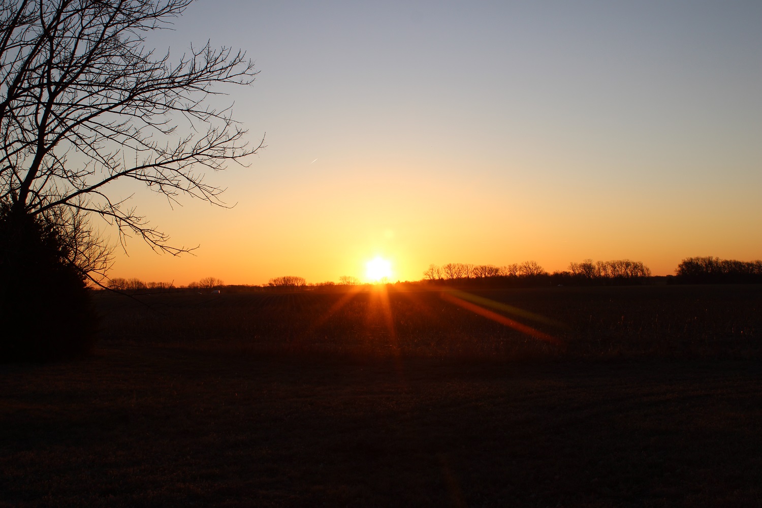 Sunrise 3-10-25 - Projective Fabrication