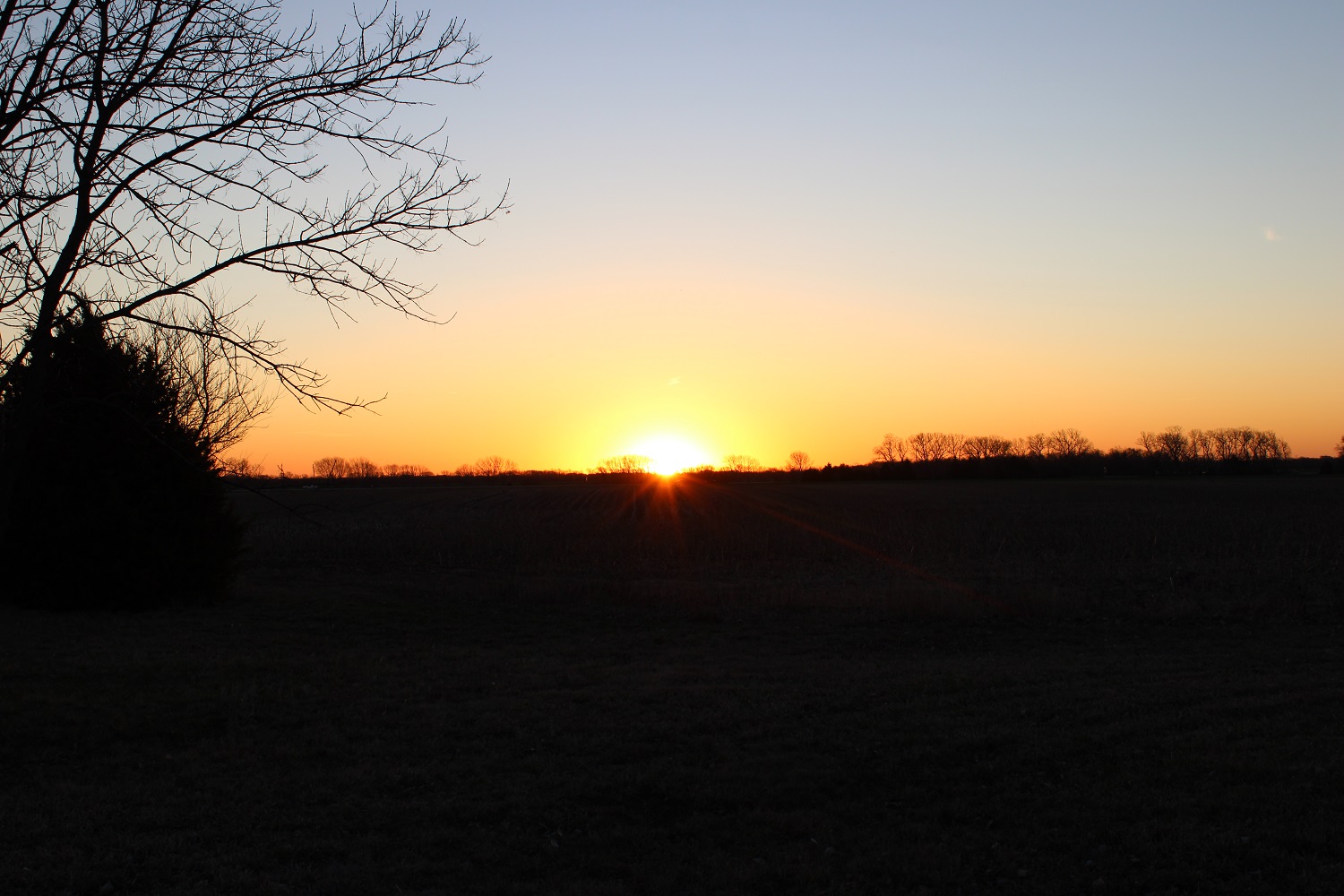 Sunrise 3-17-25 - Projective Fabrication