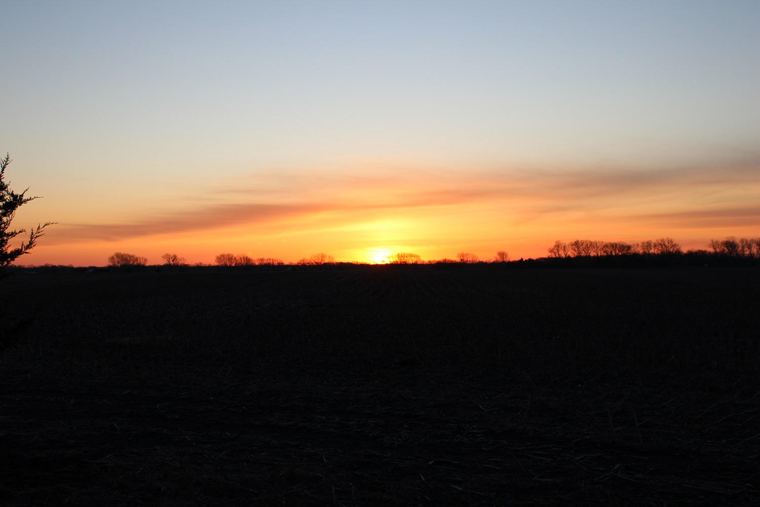 Sunrise 3-20-25 - Projective Fabrication