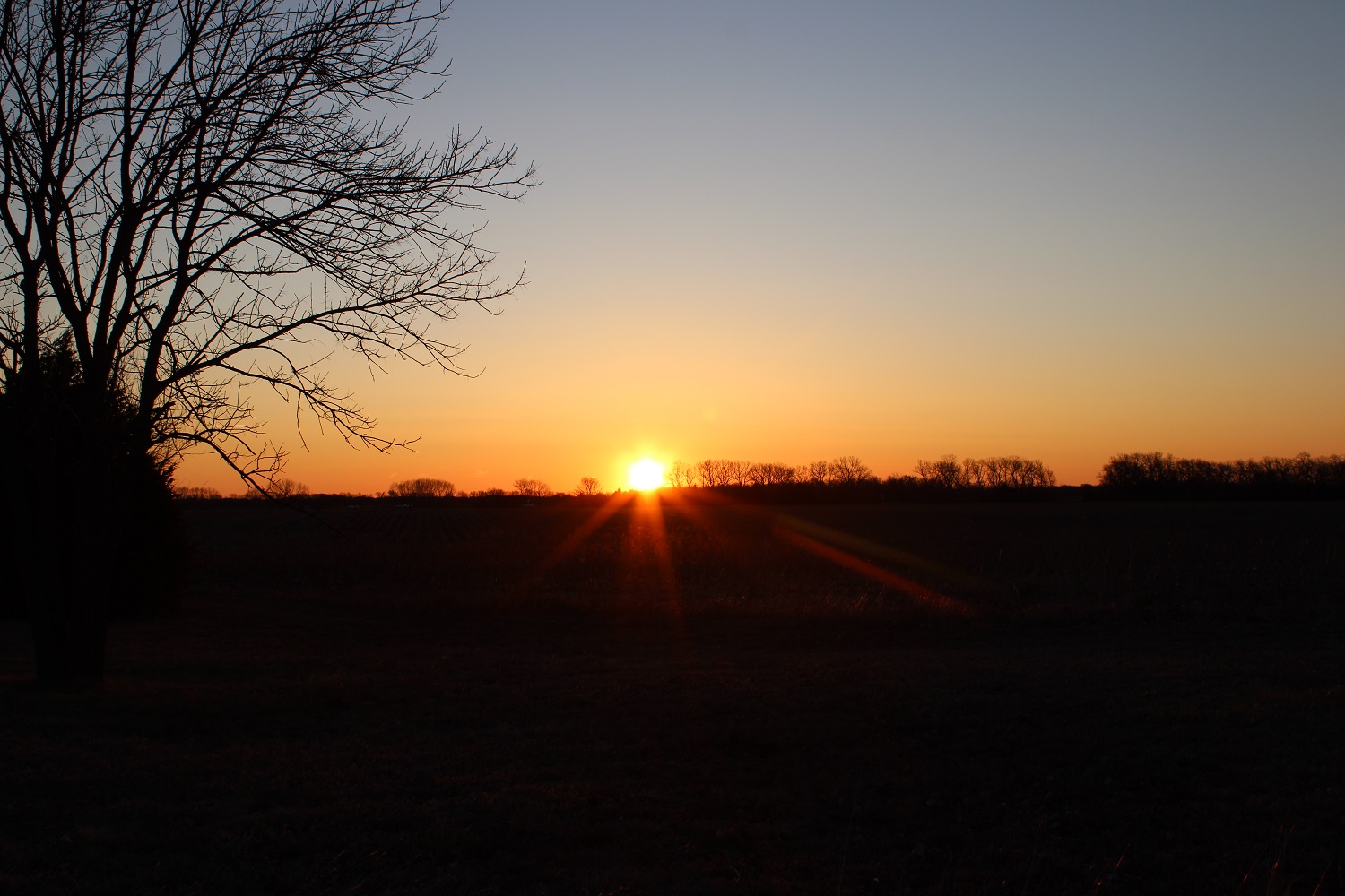 Sunrise 3-5-25 - Projective Fabrication