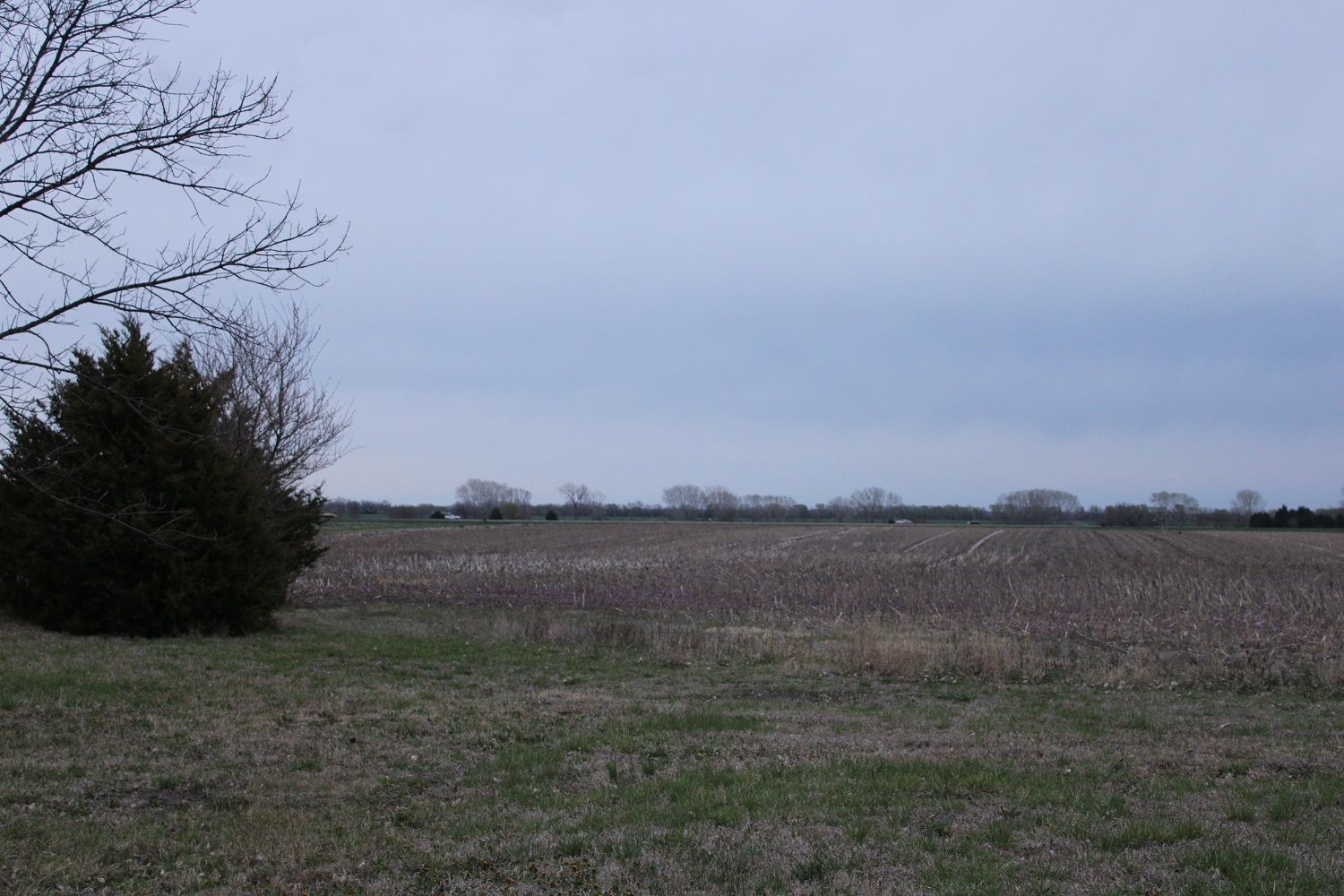 Cloudy Skies 4-3-25 - Projective Fabrication