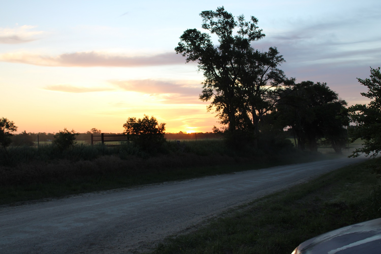 Sunrise 5-15-25 - Projective Fabrication