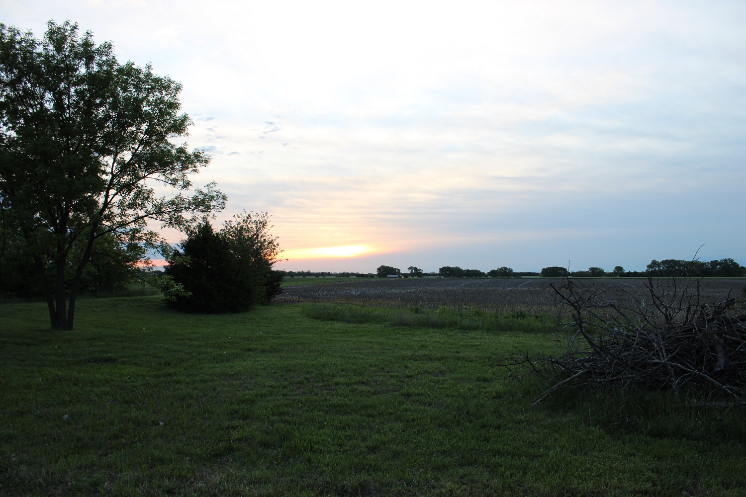 Sunrise 5-2-25 - Projective Fabrication