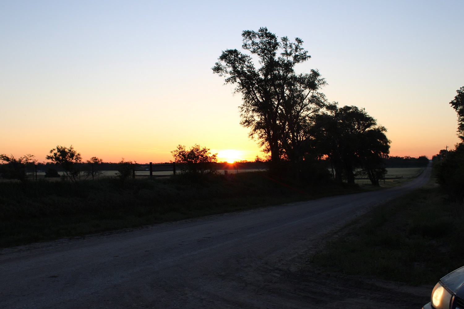 Sunrise 5-5-25 - Projective Fabrication