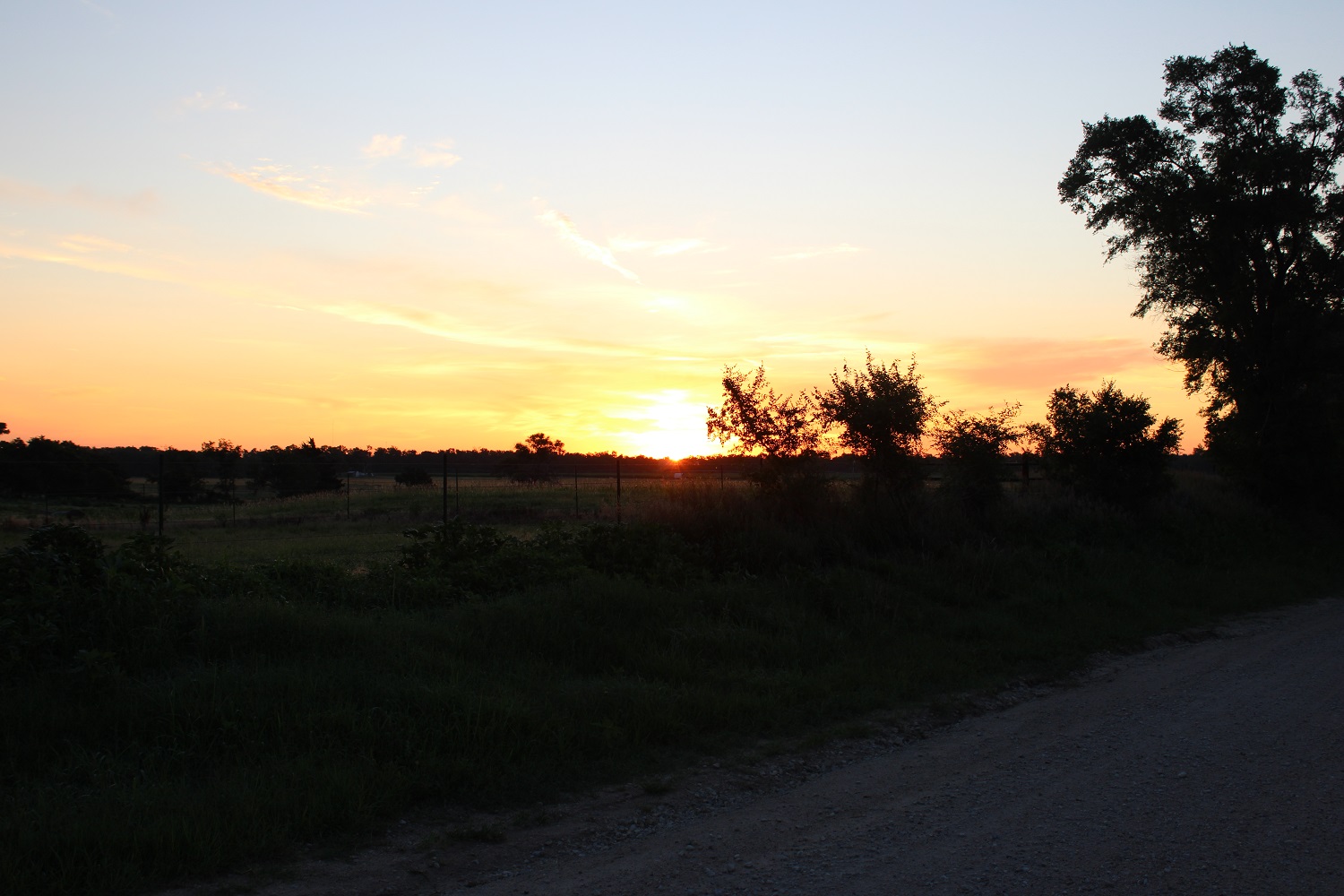Sunrise 7-2-25 - Projective Fabrication